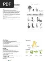 Leaf and Leaflet Morphology Guide | PDF | Leaf | Branches Of Botany