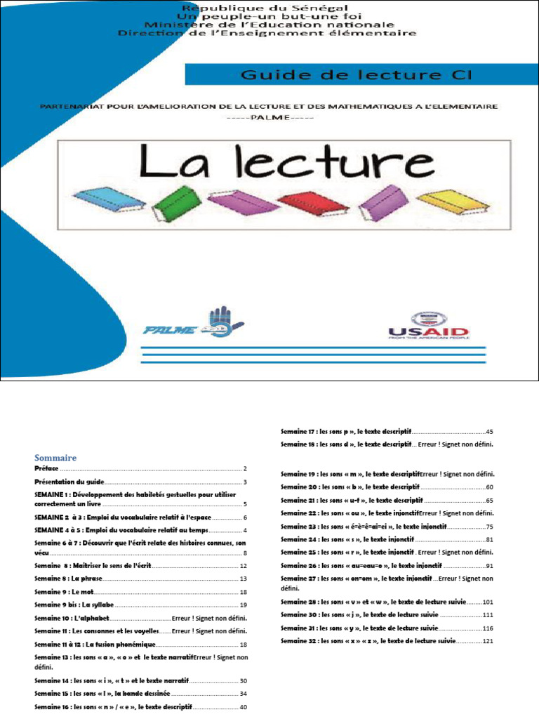 Guide lecture CI pour impression.VDdocx (2) | PDF