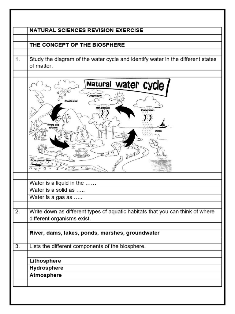 2026 GRADE 7 NATURAL SCIENCES TERM 1 REVISION EXERCISE | PDF ...
