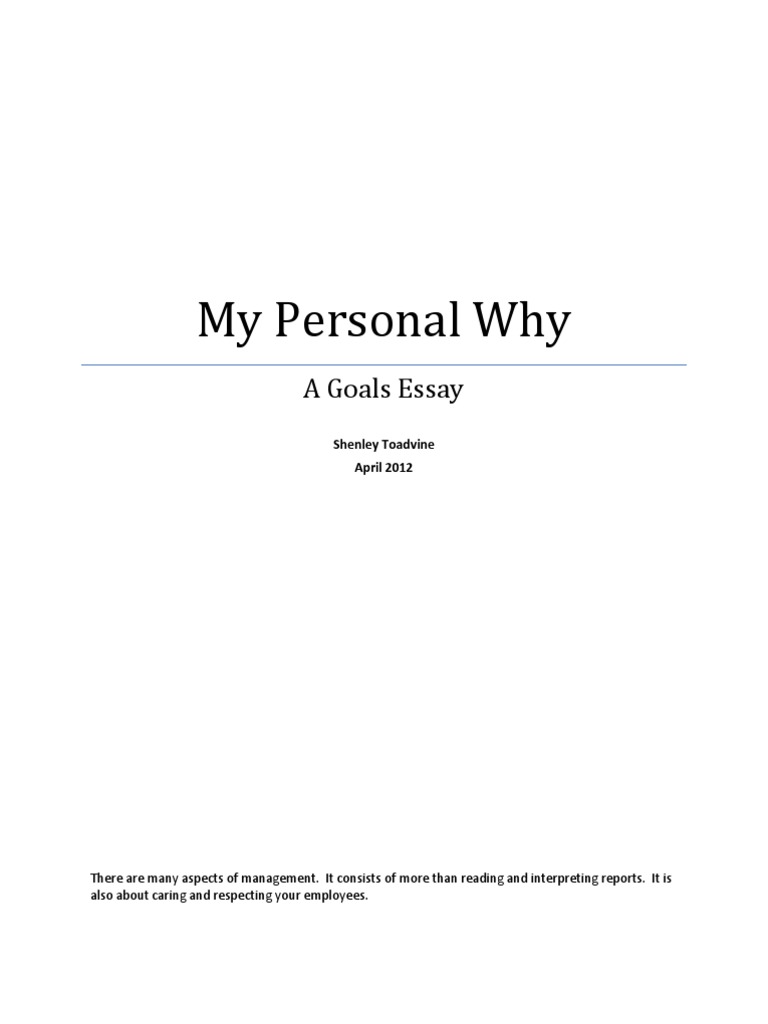 MBA Application Writing Sample | PDF | Master Of Business ...