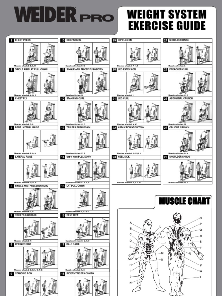 Weider Pro 6900 Exercise Chart Workout Chart, Gym Workouts Machines ...