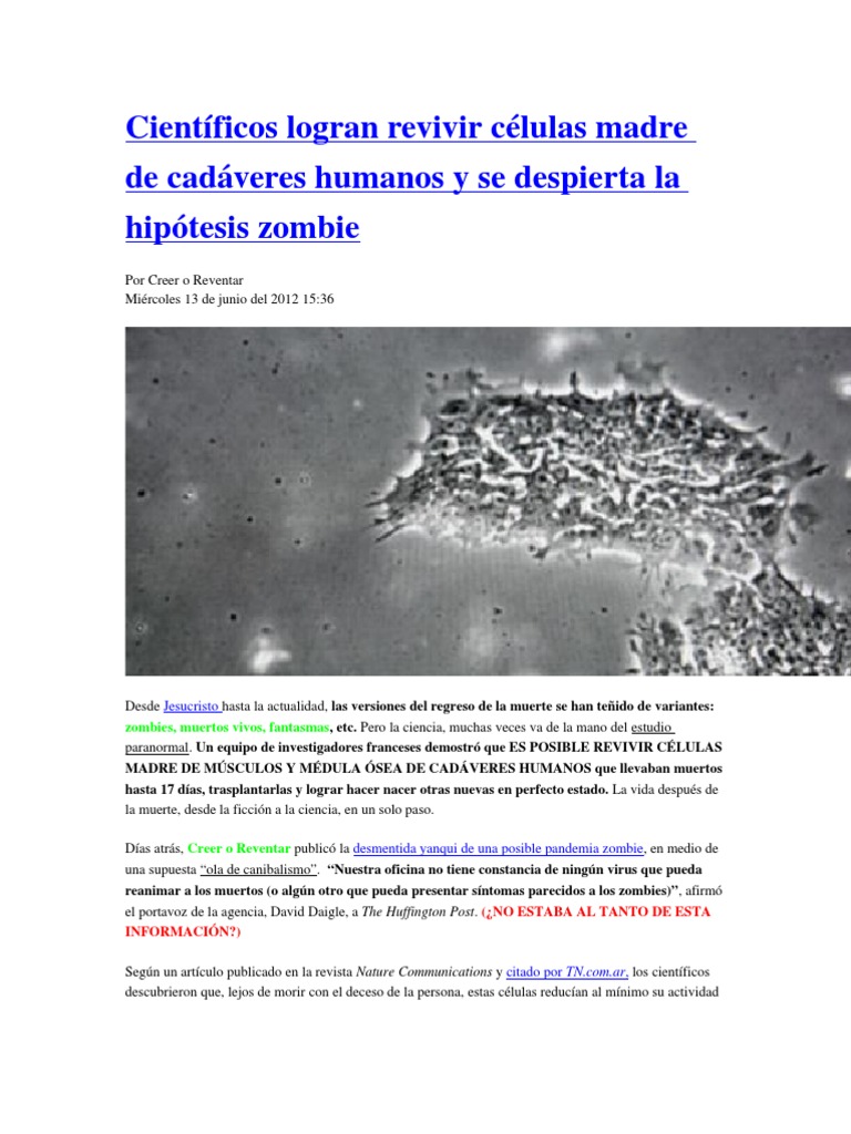 Científicos Logran Revivir Células Madre de Cadáveres Humanos y Se ...