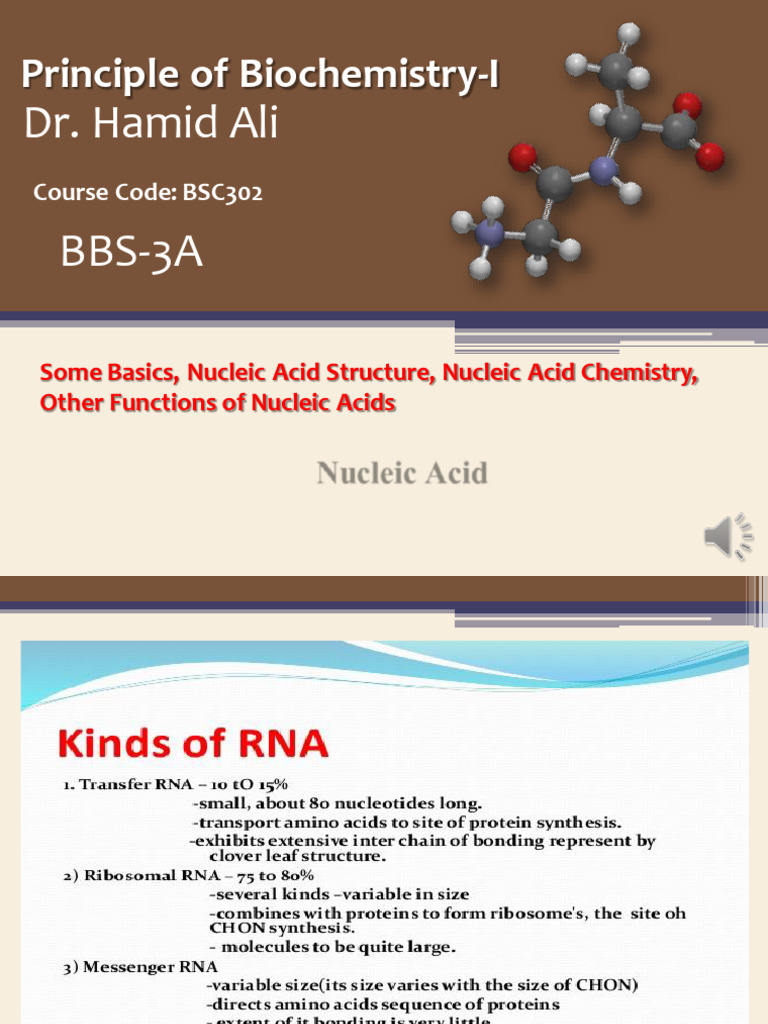 Nucleic Acid -14 | PDF | Dna | Nucleic Acids