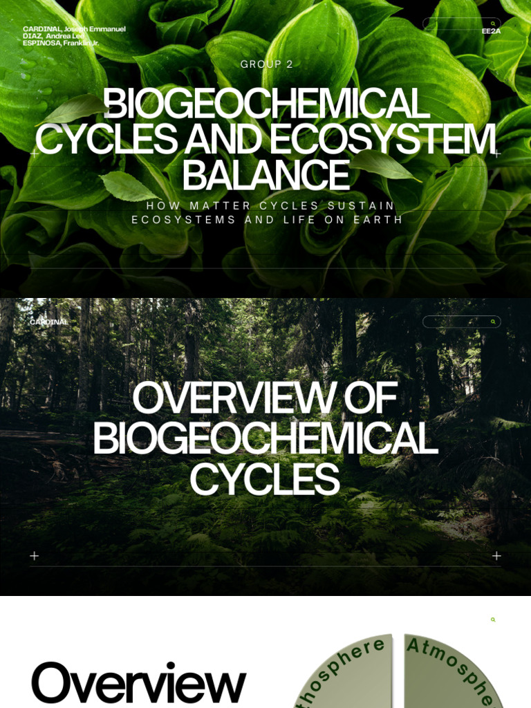 Biogeochemical Cycles and Ecosystem Balance - EE2A | PDF | Nitrogen | Soil