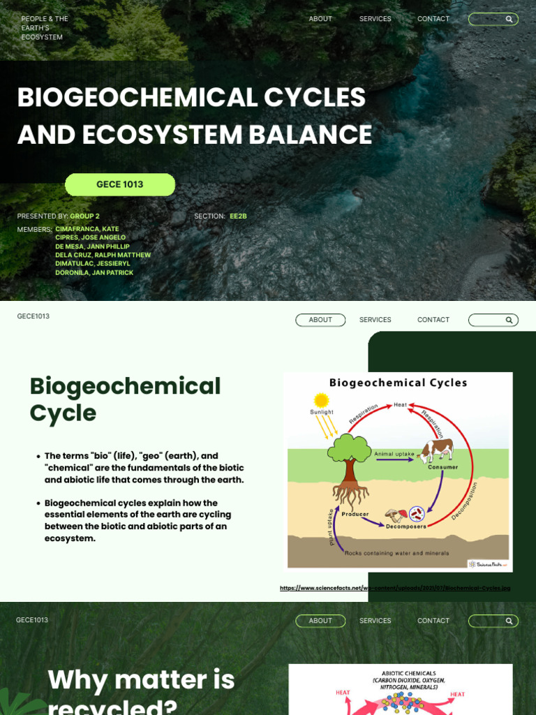 Biogeochemical Cycles and Ecosystem Balance - EE2B | PDF | Ecosystem | Soil