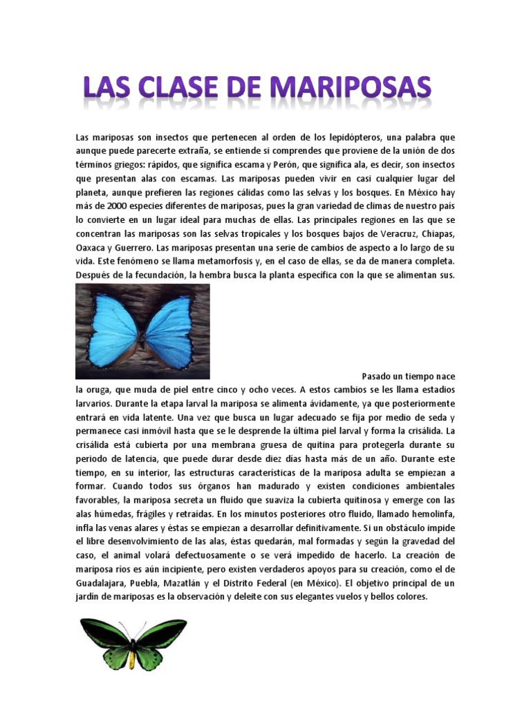 Las Mariposas | PDF | Hogar, jardinería y bricolaje | Libros para ...