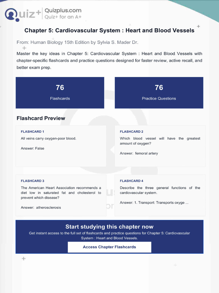 Flashcards for Chapter 5 Cardiovascular System Heart and Blood Vessels ...