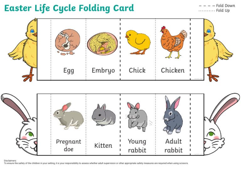 Easter Life Cycle Folding Card | PDF