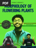 Anatomy of Zea Mays: Structure Overview | PDF | Plant Stem | Maize
