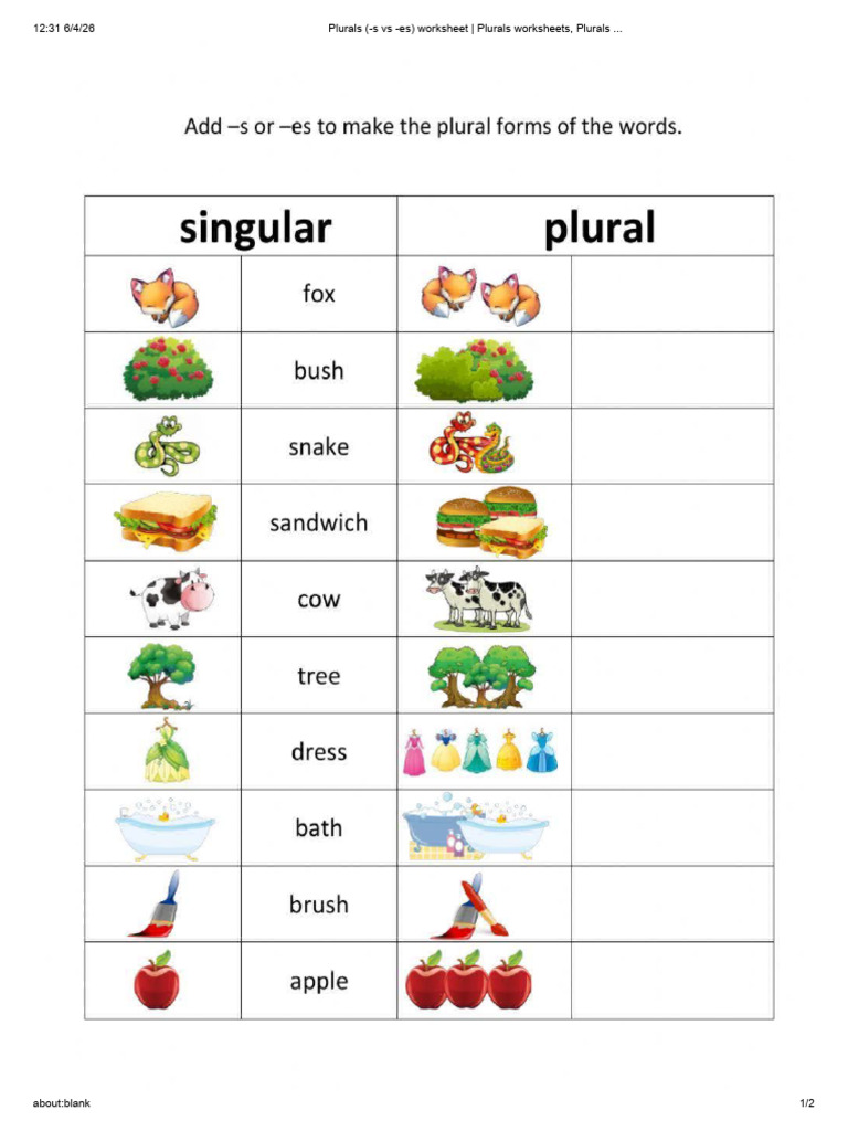 Plurals (-s vs -Es) Worksheet _ Plurals Worksheets, Plurals .. | PDF