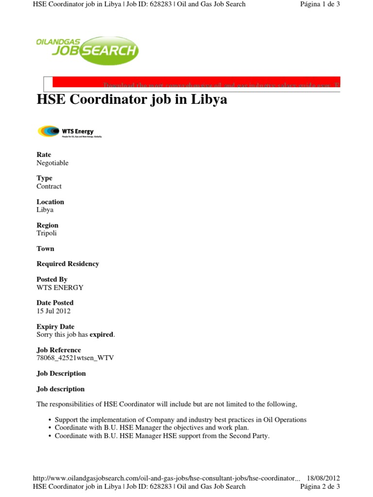 Oil and Gas Jobs Hse Consulta | PDF | Audit | Safety