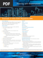 IBR Forms Overview and Descriptions | PDF | Business
