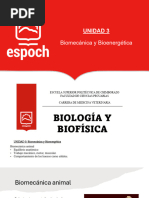 Ejemplos de Movimiento Ameboide | PDF | Músculo esquelético | Biología ...