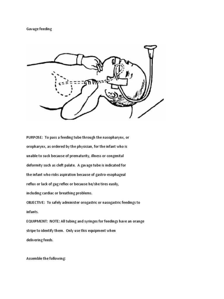 Gavage Feeding Rep | PDF | Health Sciences | Medicine