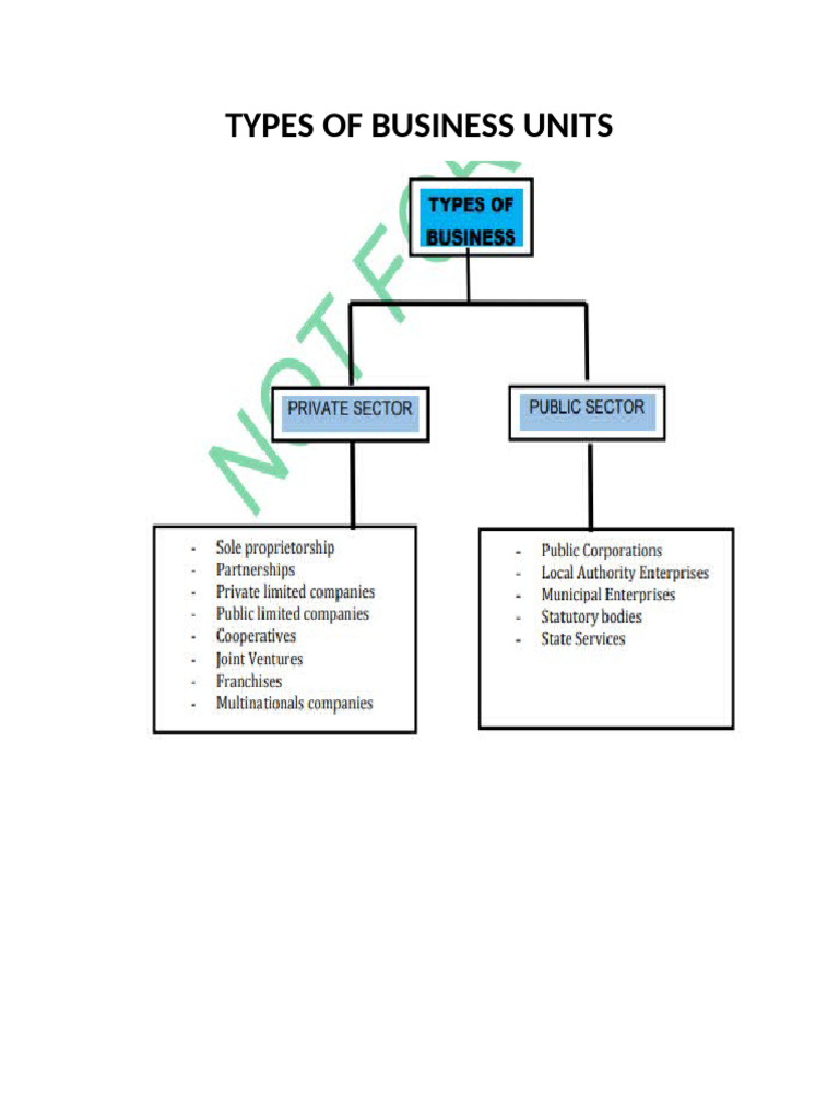 Types of Business Units | PDF