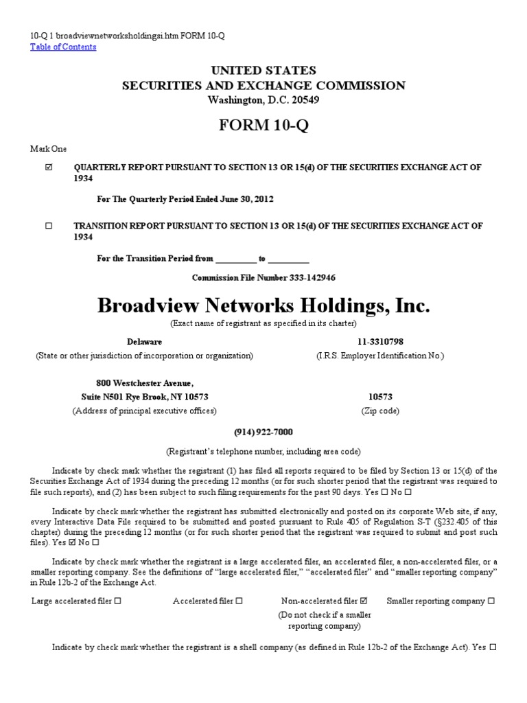 Broadview Networks Holdings, Inc 10 Q | Download Free PDF | Fair Value ...