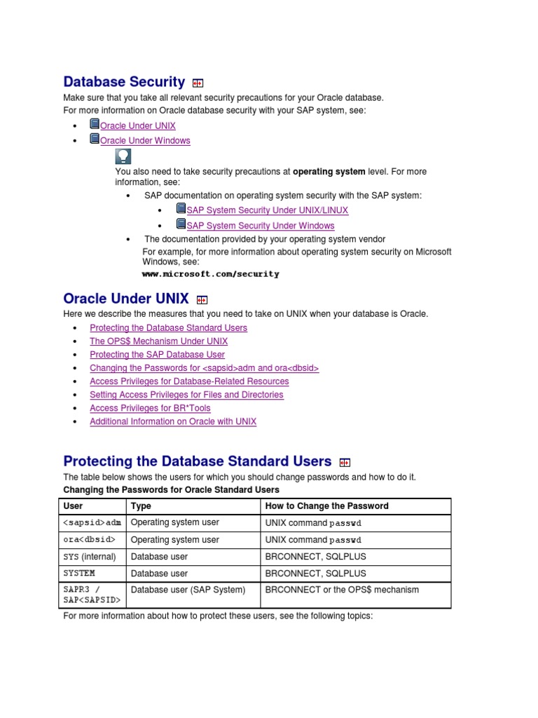 Sap Database Security Pdf Oracle Database Databases