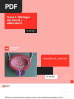 Reflejo de Micción y su Fisiología | PDF | Micción | Vejiga urinaria