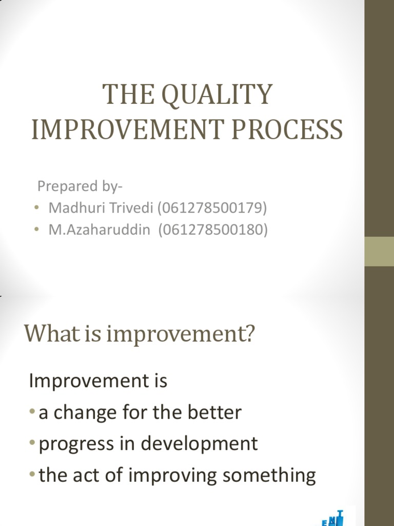 The Quality Improvement Process | PDF | Quality Management | Facilitator