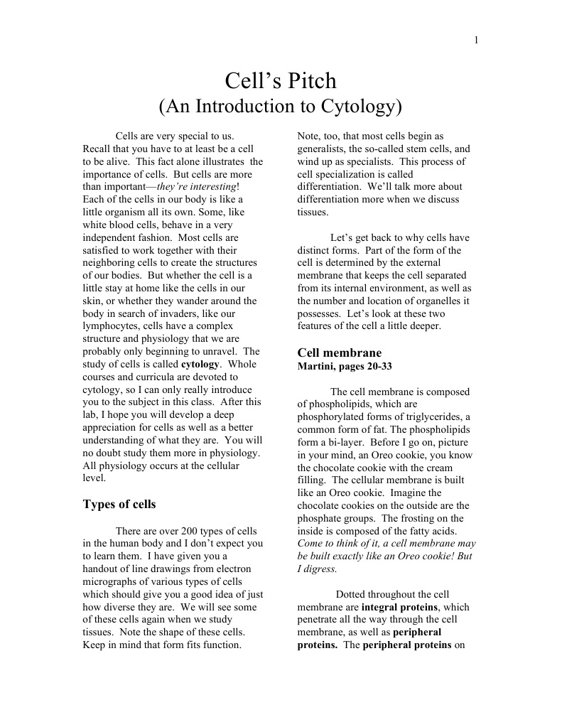 2 Cells Pitch | PDF | Mitosis | Osmosis