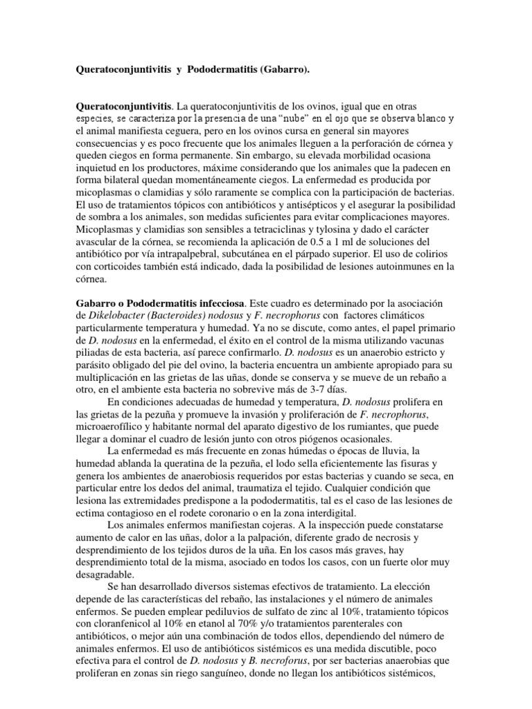 Queratoconjuntivitis y Pododermatitis en Ovinos | PDF | Oveja ...