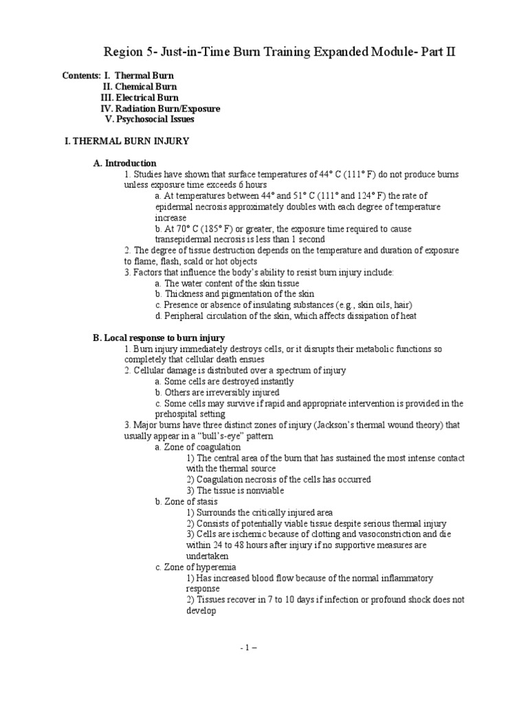 A Comprehensive Guide to Thermal Burn Injuries: Classification ...