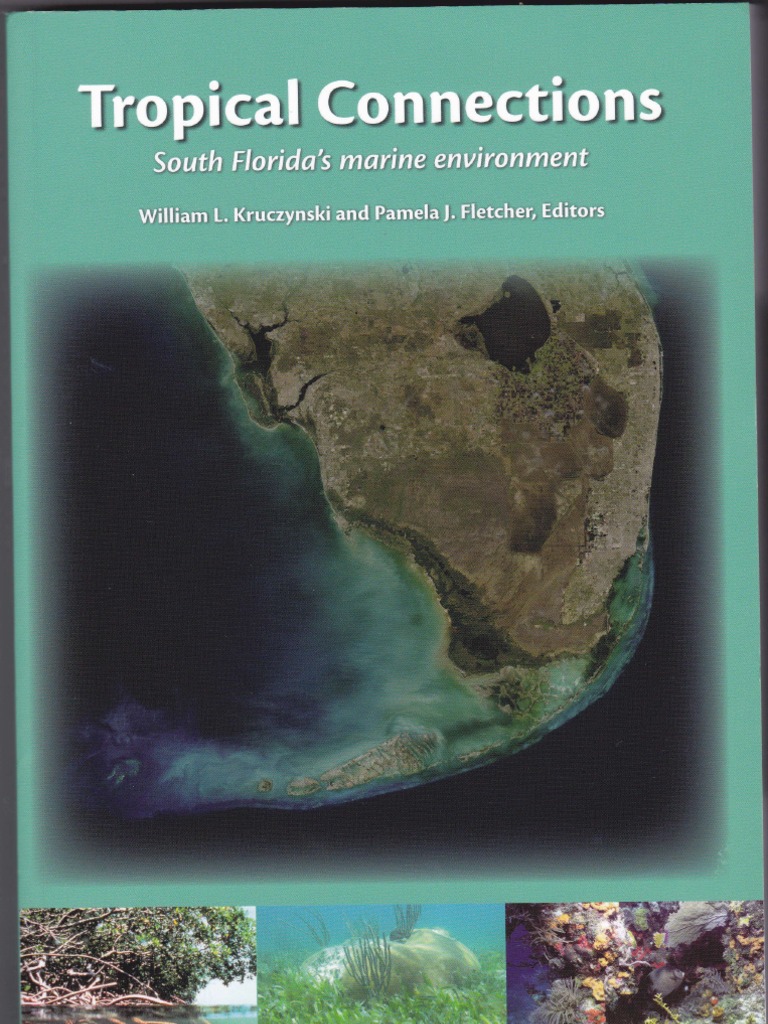 Tropical Connections | PDF | Coral Reef | Aquatic Vertebrates