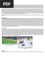 Types of Hockey Explained | PDF | Leisure | Variations Of Hockey
