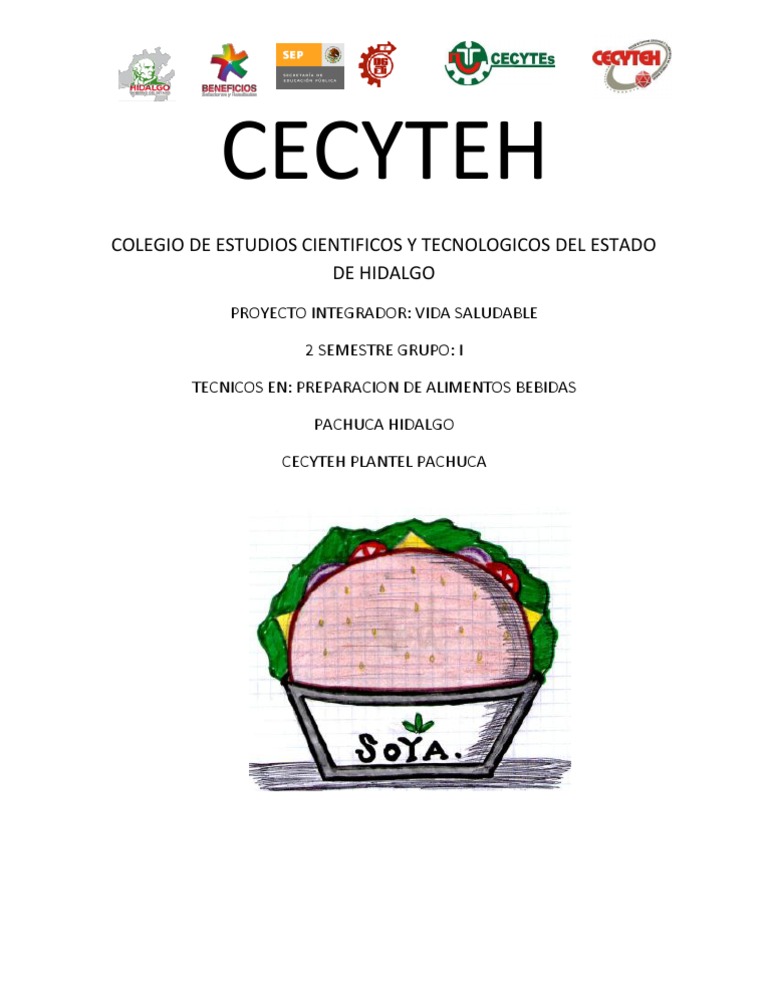 Cecyteh Portada Proyecto Integrador | PDF