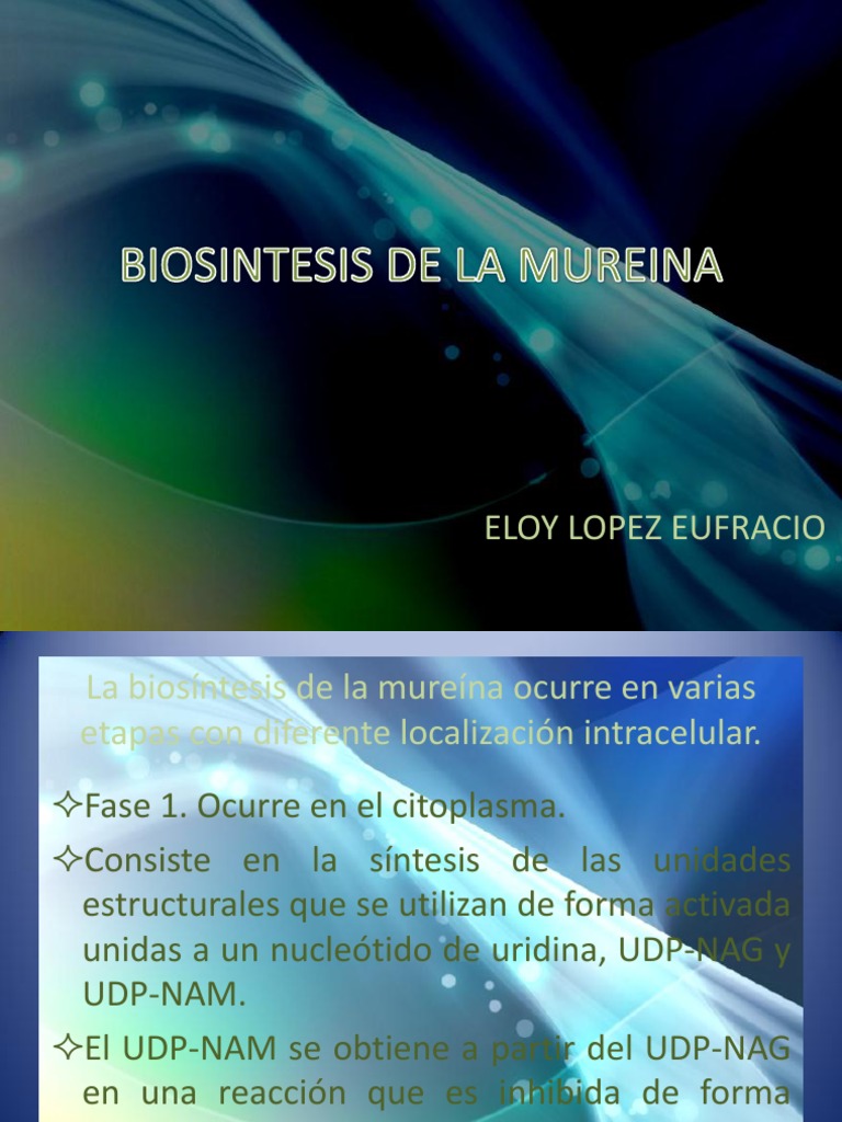 Biosintesis de La Mureina | PDF | Las bacterias | Membrana celular