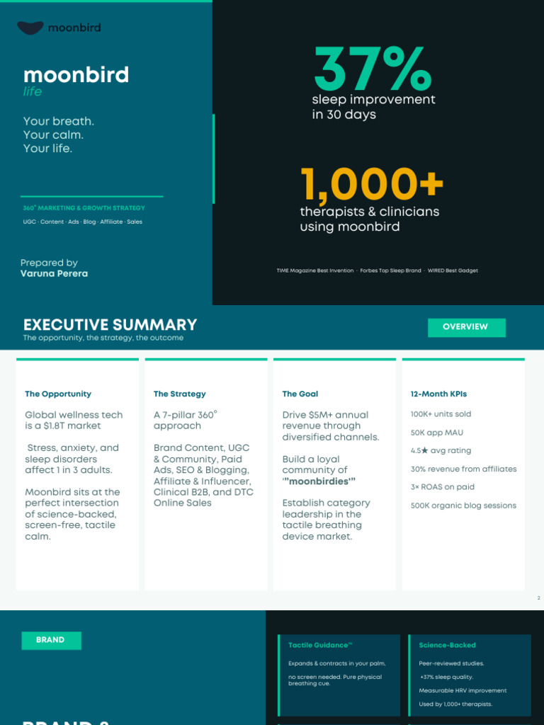 Moonbird - Overall Digital Strategy 2026 | PDF | Search Engine ...