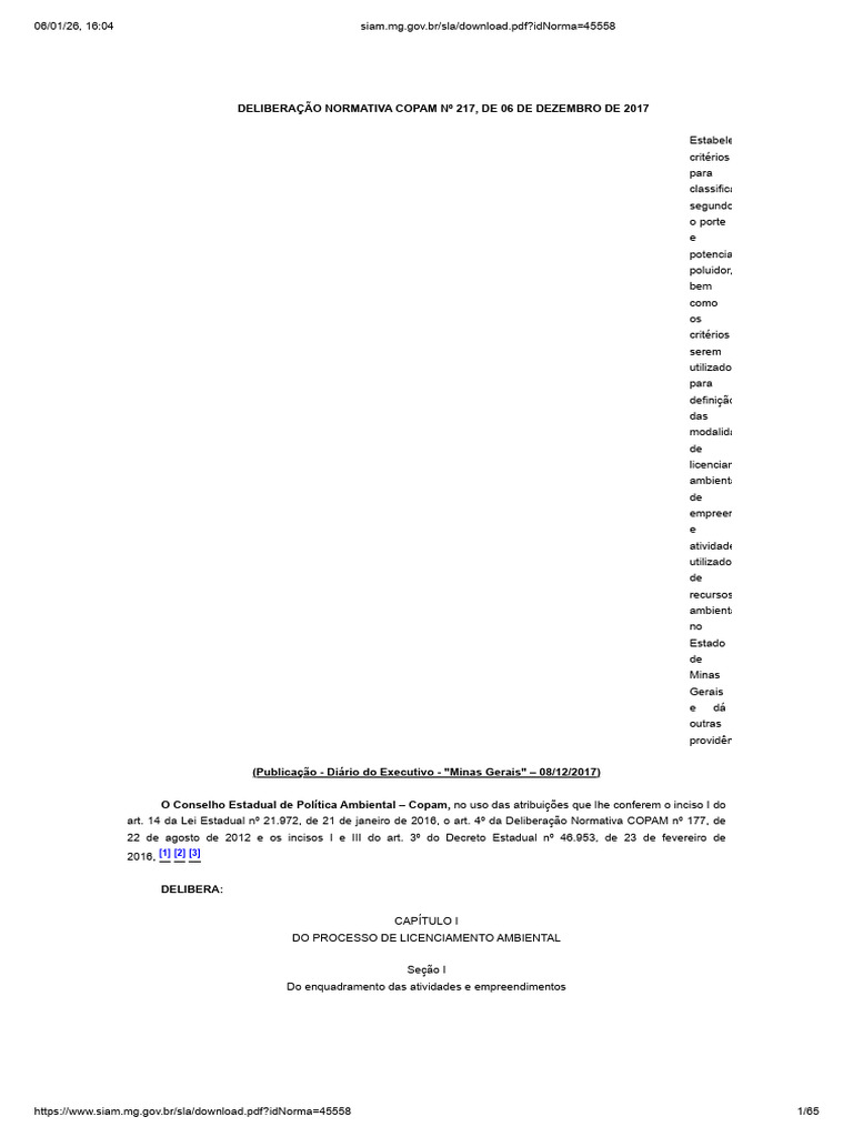 DN COPAM 217_2017 | PDF | Desperdício | Declaração de Impacto Ambiental