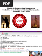 13 Directrices de Cero Tolerancia de Pemex | PDF