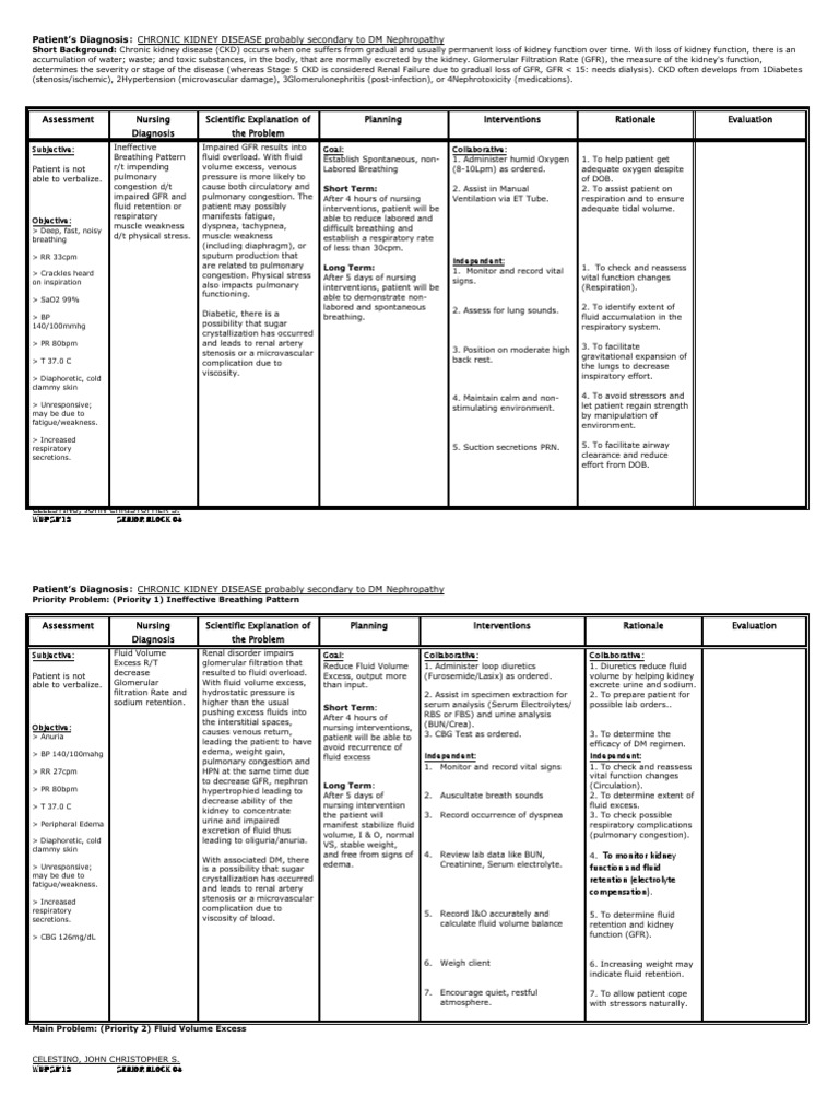 NCP Format 3 (CKD Chronic Kidney Disease DM Diabetes Mellitus ...
