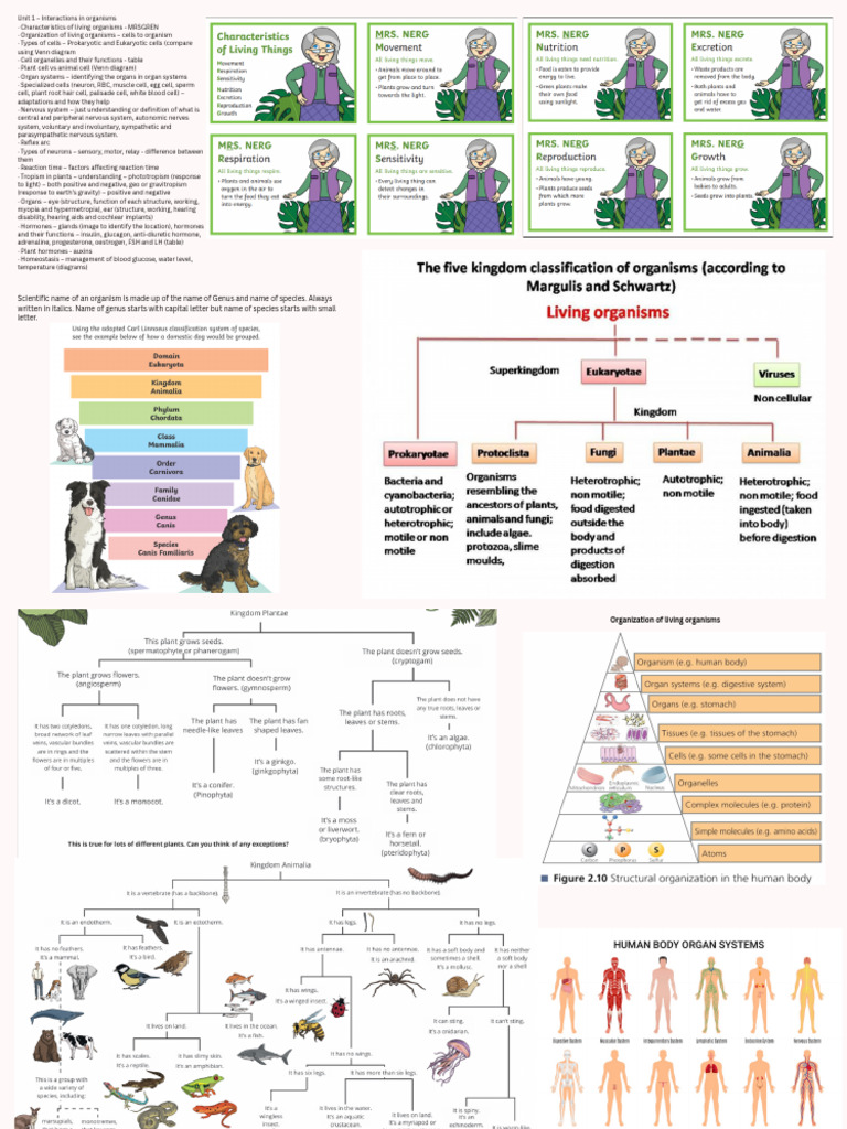 Unit 1 - Interactions of Organisms With Their Environment | PDF