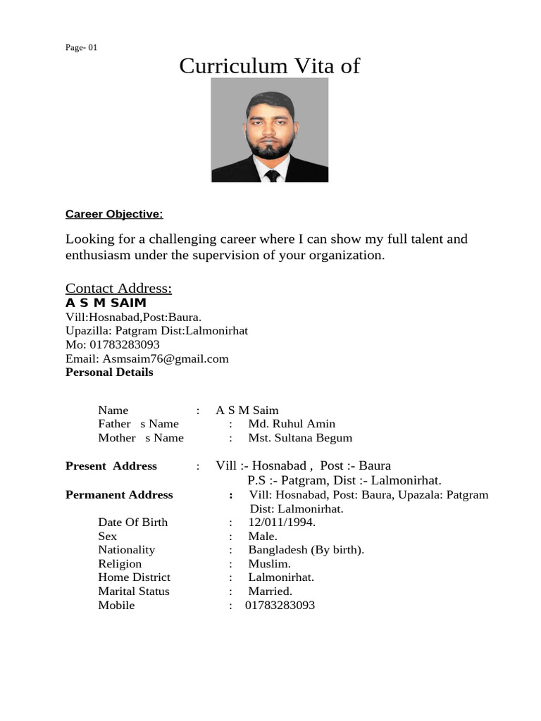 CV Saim | PDF