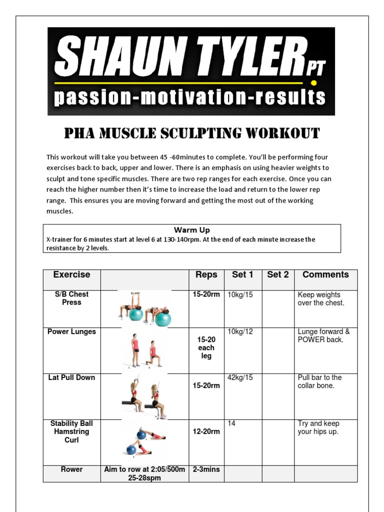Muscle Sculpting Workout (Pha) 2 Dave Bishop | PDF | Physical Exercise ...