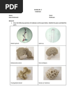 Coral Identification Guide for Divers | PDF | Coral | Coral Reef