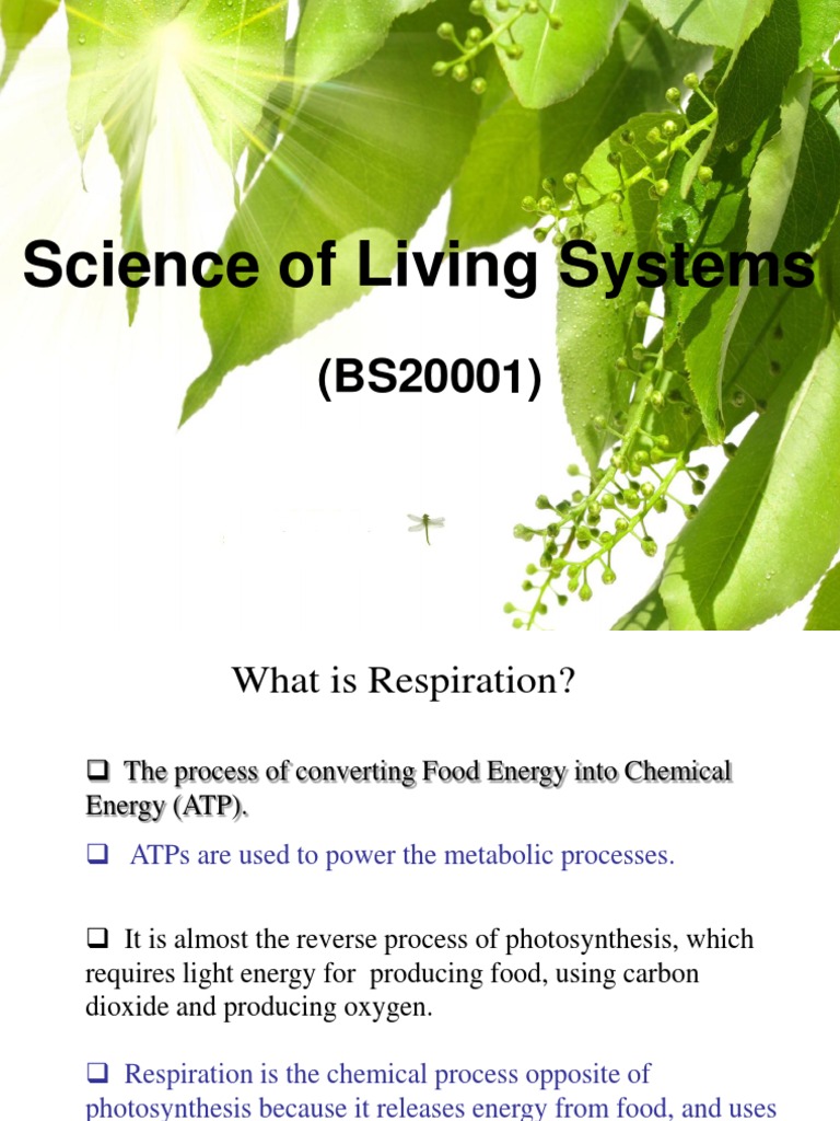 Science of Living Systems | Download Free PDF | Cellular Respiration ...