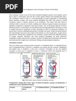Vertebrate Circulatory System Comparison | PDF | Circulatory System | Heart