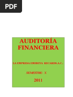 Modelo de Un Informe Largo | Auditoría financiera | Contabilidad