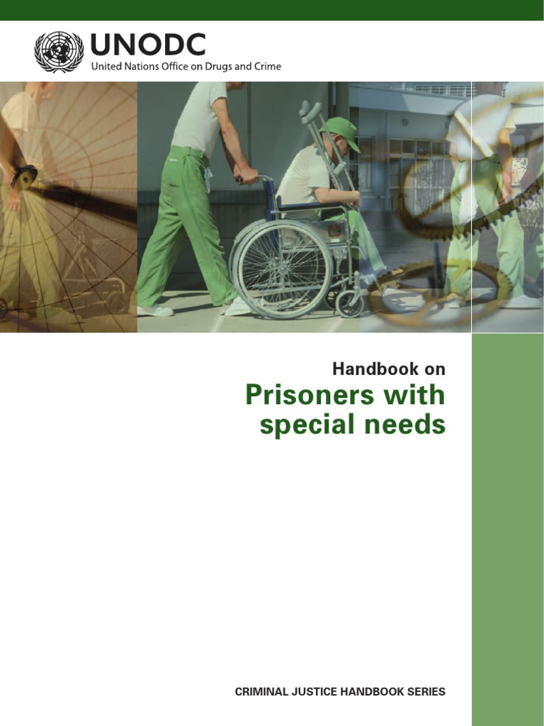 Prisoners With Special Needs | PDF | Mental Health | Prison