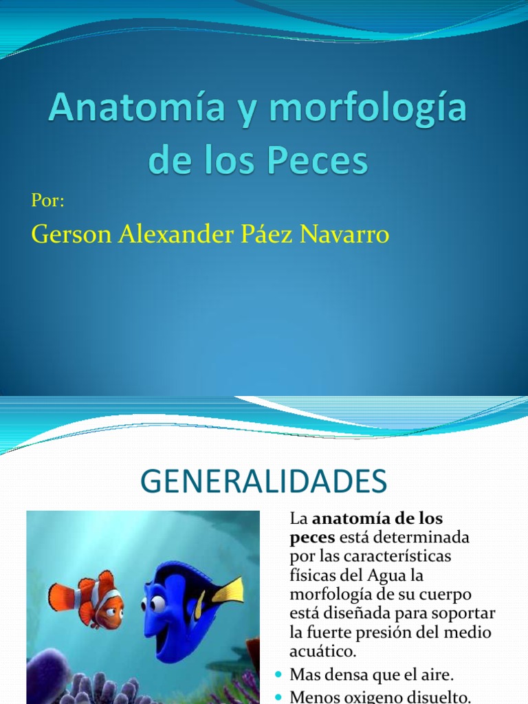 Taller Semana 1 Anatomia de Los Peces | PDF | Pescado | Zoología