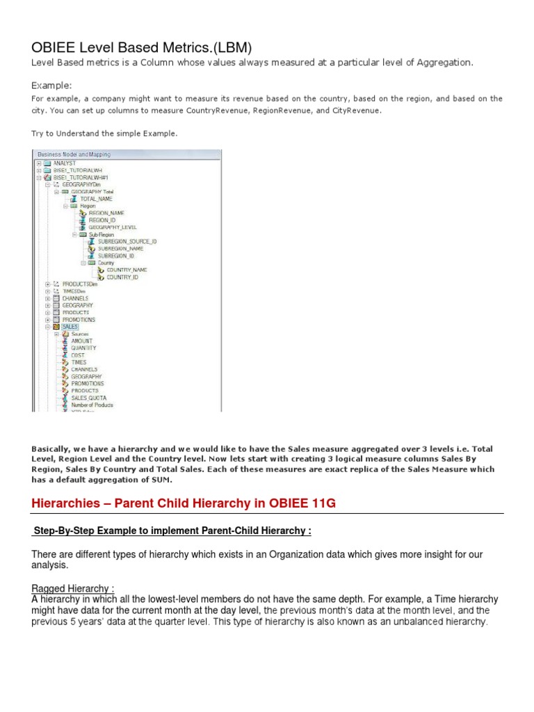 OBIEE Level Based Metrics | PDF | Hierarchy | Relational Database