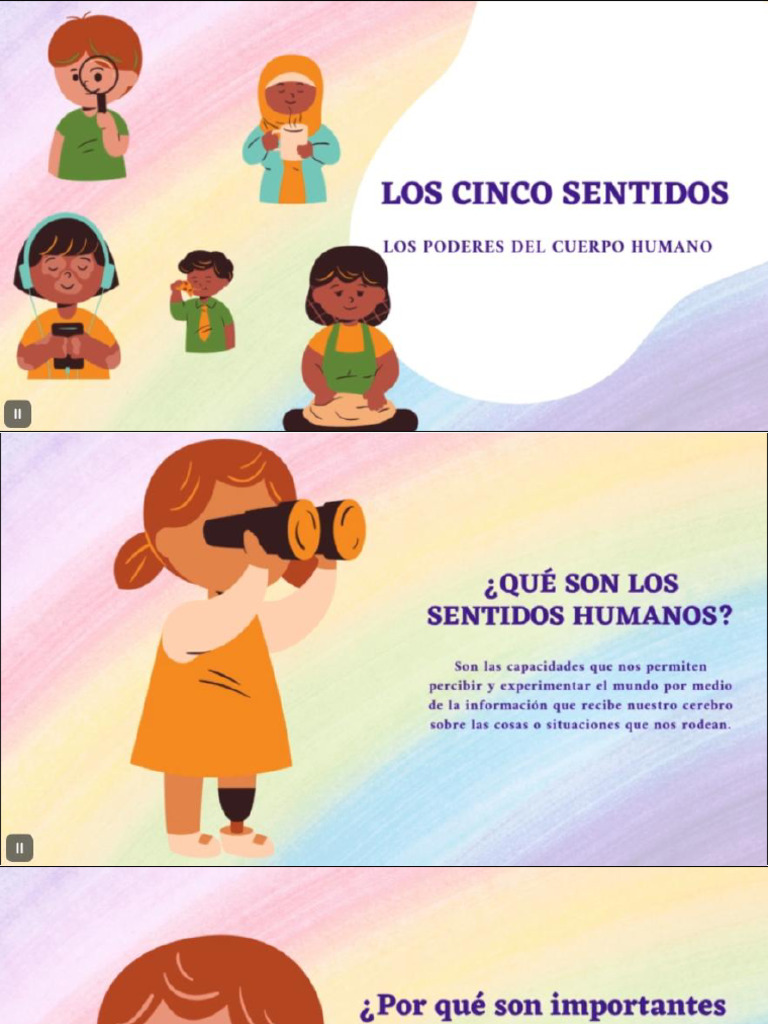 Mis Sentidos | PDF
