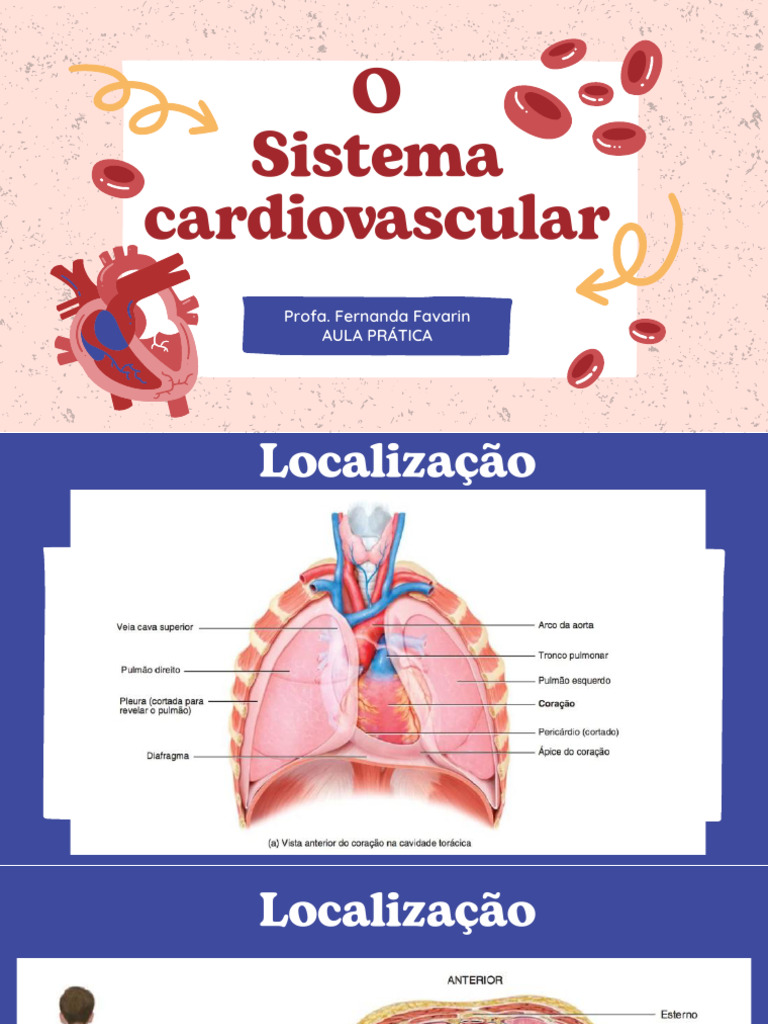 Aula Prática - Sistema Cardiovascular | PDF