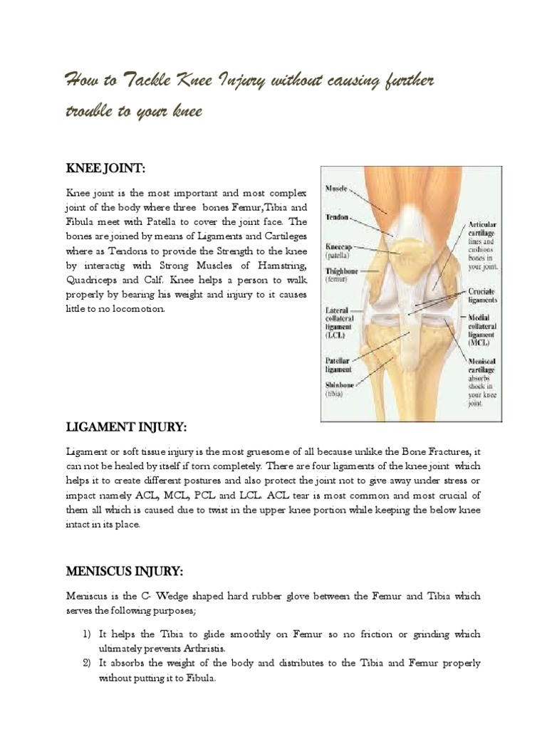 Knee Injury Recovery Guide | PDF | Wellness | Science & Mathematics