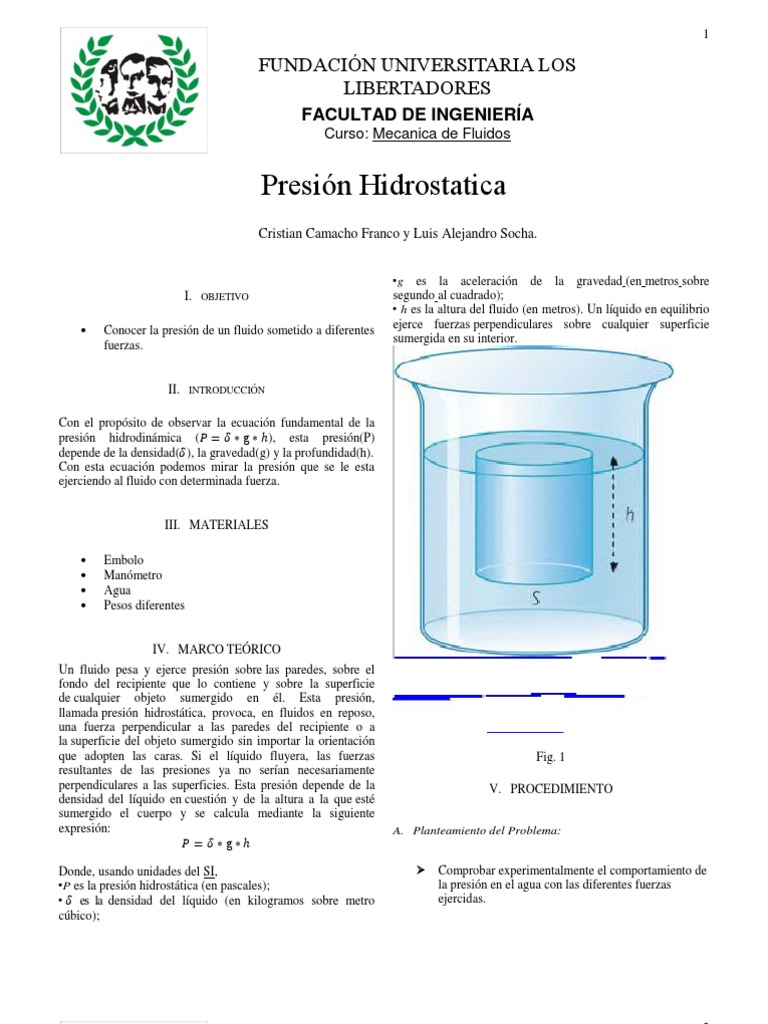 Informe Presion hidrostatica | Presión | Líquidos