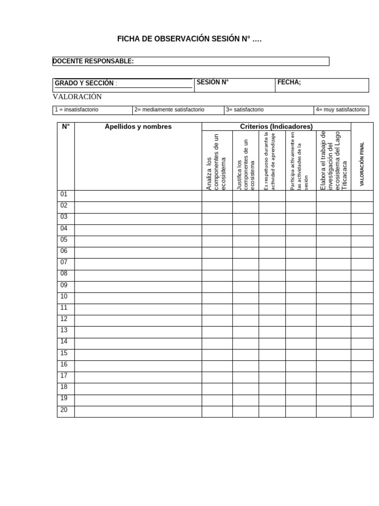 Instrumentos de Evaluación Amauta Perú | PDF | Léxico | Tipografía