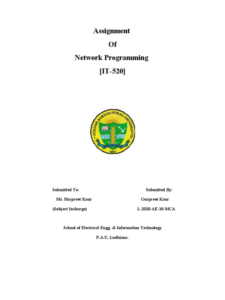 Assignment Of Network Programming It 520 Pdf Network Socket 5847